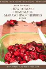 How To Make Homemade Maraschino Cherries - Experimental Homesteader