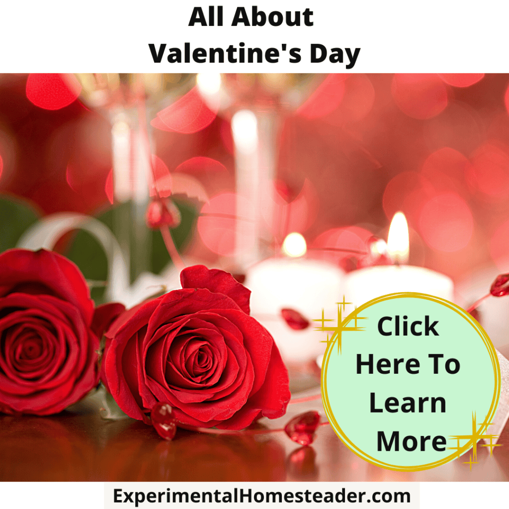 All About Valentine's Day - Experimental Homesteader