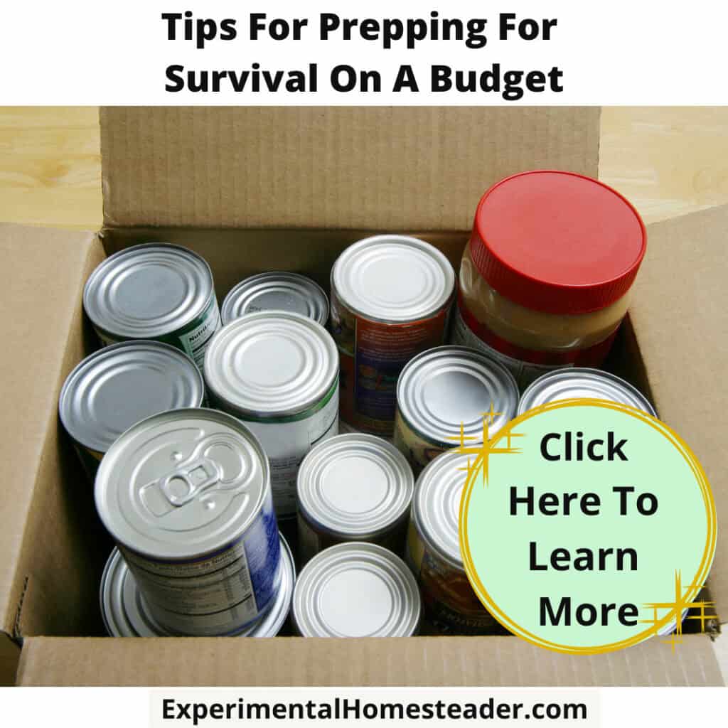 Tips For Prepping For Survival On A Budget - Experimental Homesteader