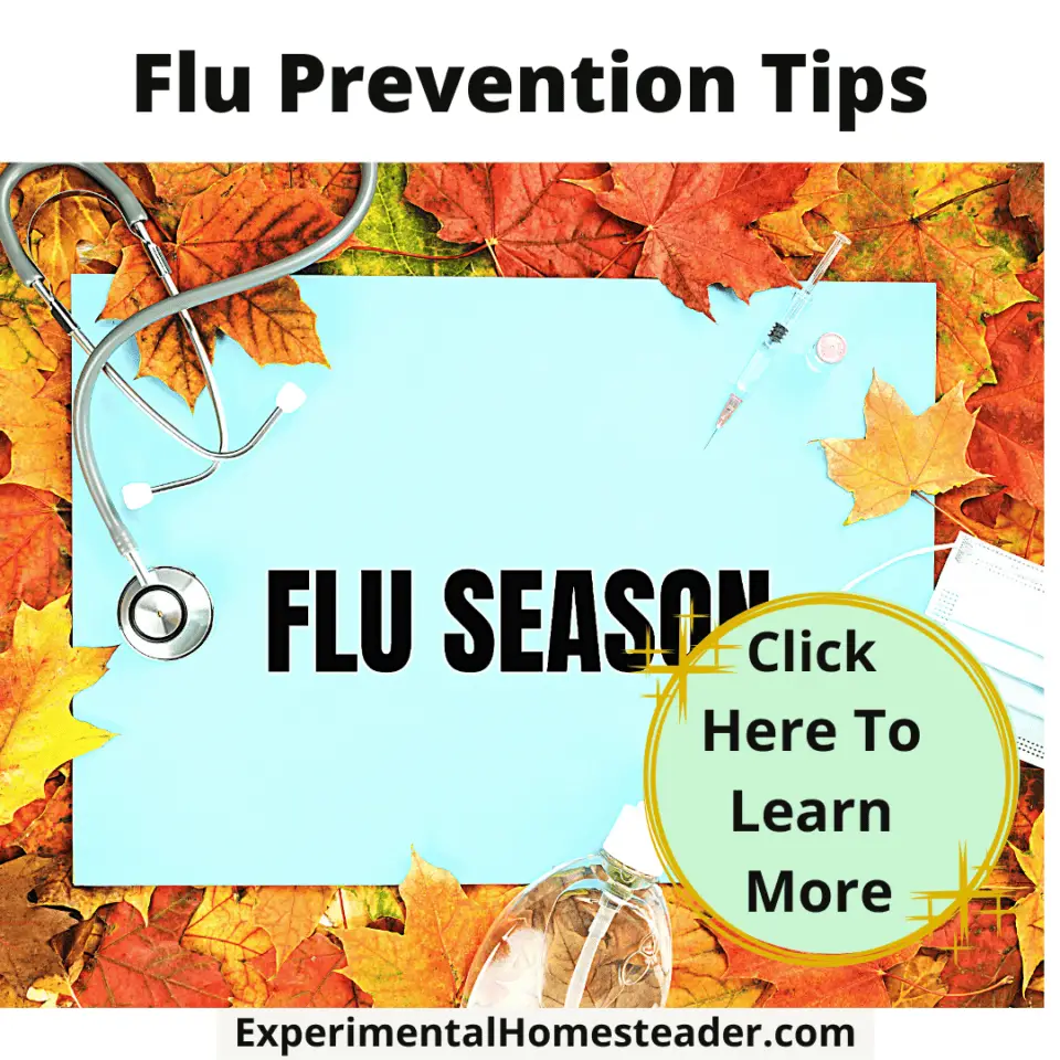 Flu Prevention Tips - Experimental Homesteader
