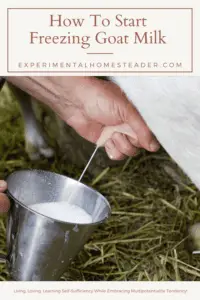How To Start Freezing Goat Milk - Experimental Homesteader