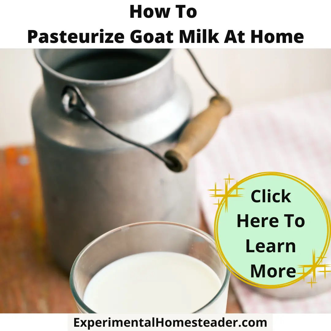 Crock Pot Goat Milk Pasteurizer