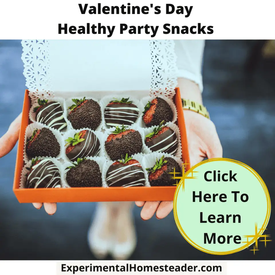 Valentine's Day Healthy Party Snacks - Experimental Homesteader