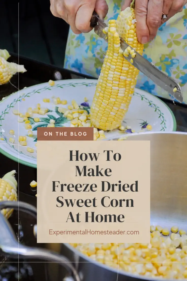 How To Make Freeze Dried Sweet Corn At Home - Experimental Homesteader