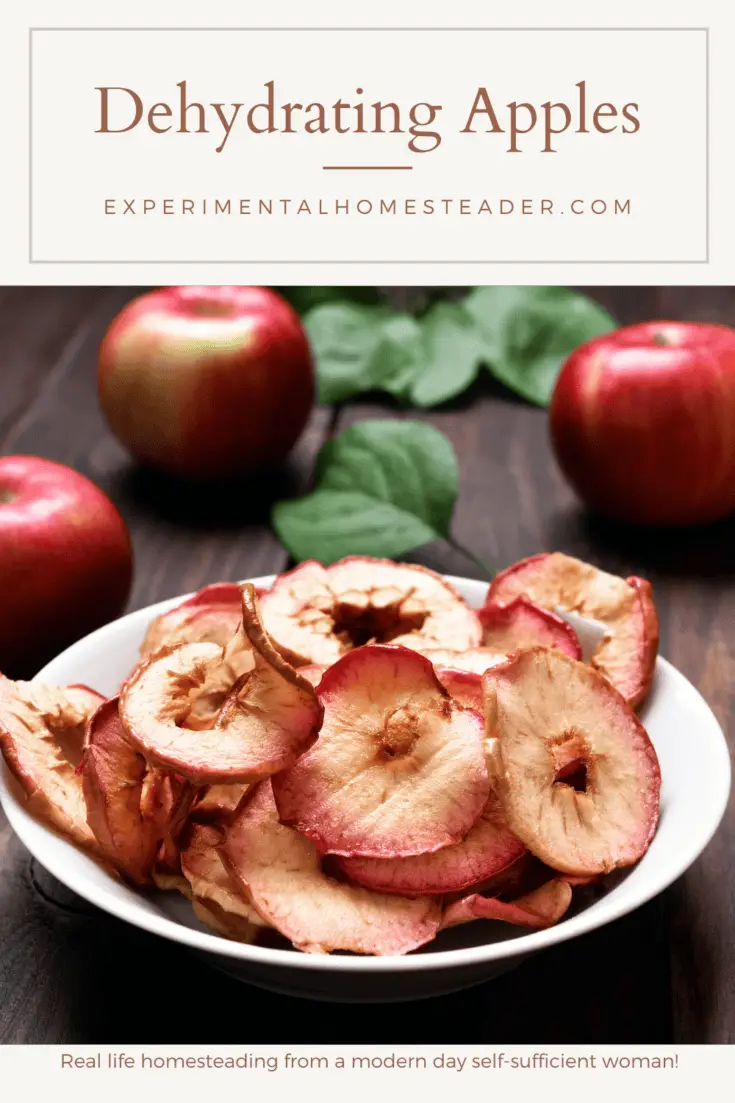 The Ultimate Beginners Guide To Dehydrating Apples - Experimental ...