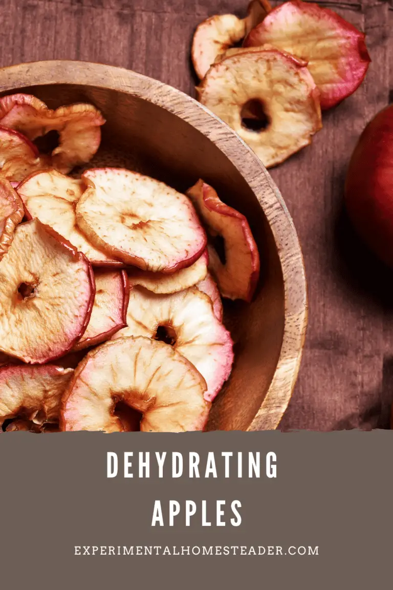 The Ultimate Beginners Guide To Dehydrating Apples - Experimental ...