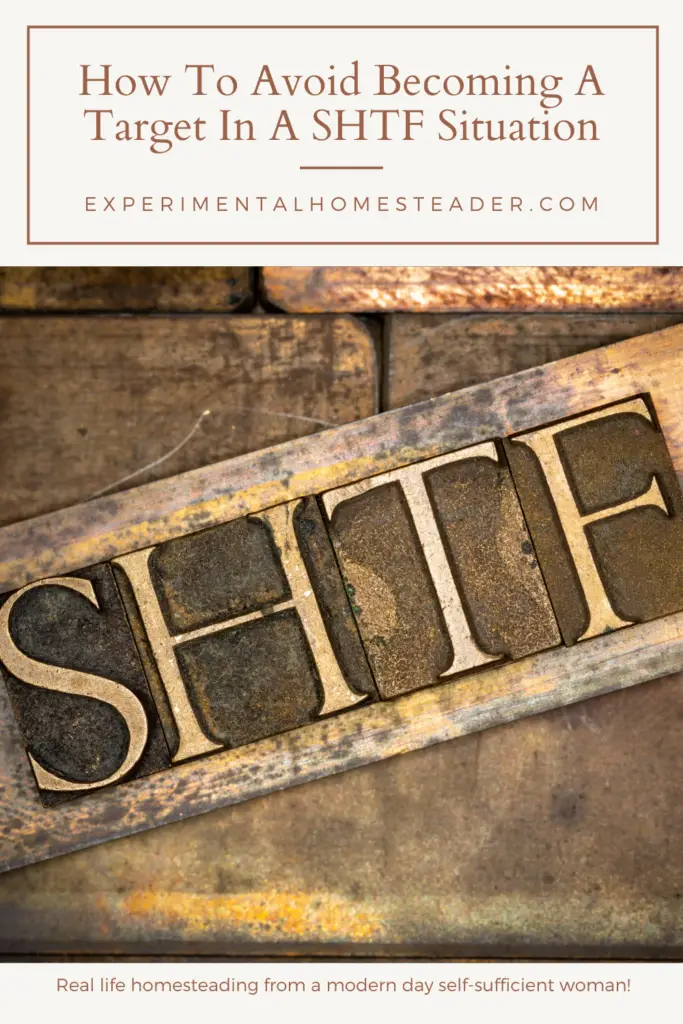 How To Avoid Becoming A Target In A SHTF Situation - Experimental ...