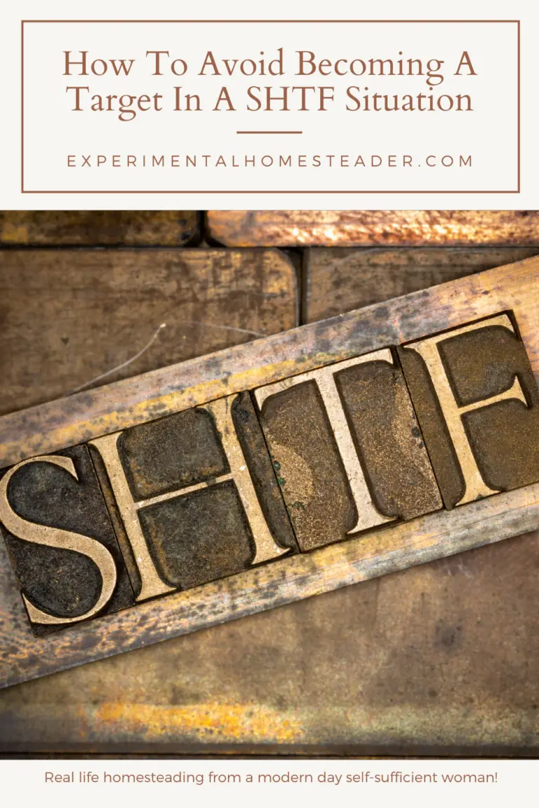 How To Avoid Becoming A Target In A SHTF Situation - Experimental ...