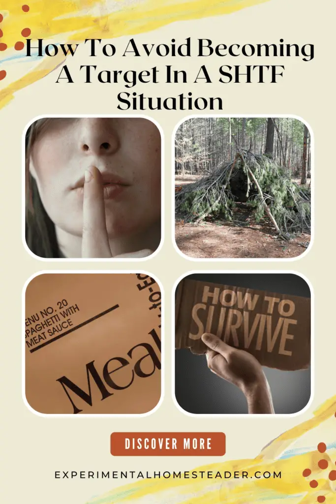 How To Avoid Becoming A Target In A SHTF Situation - Experimental ...