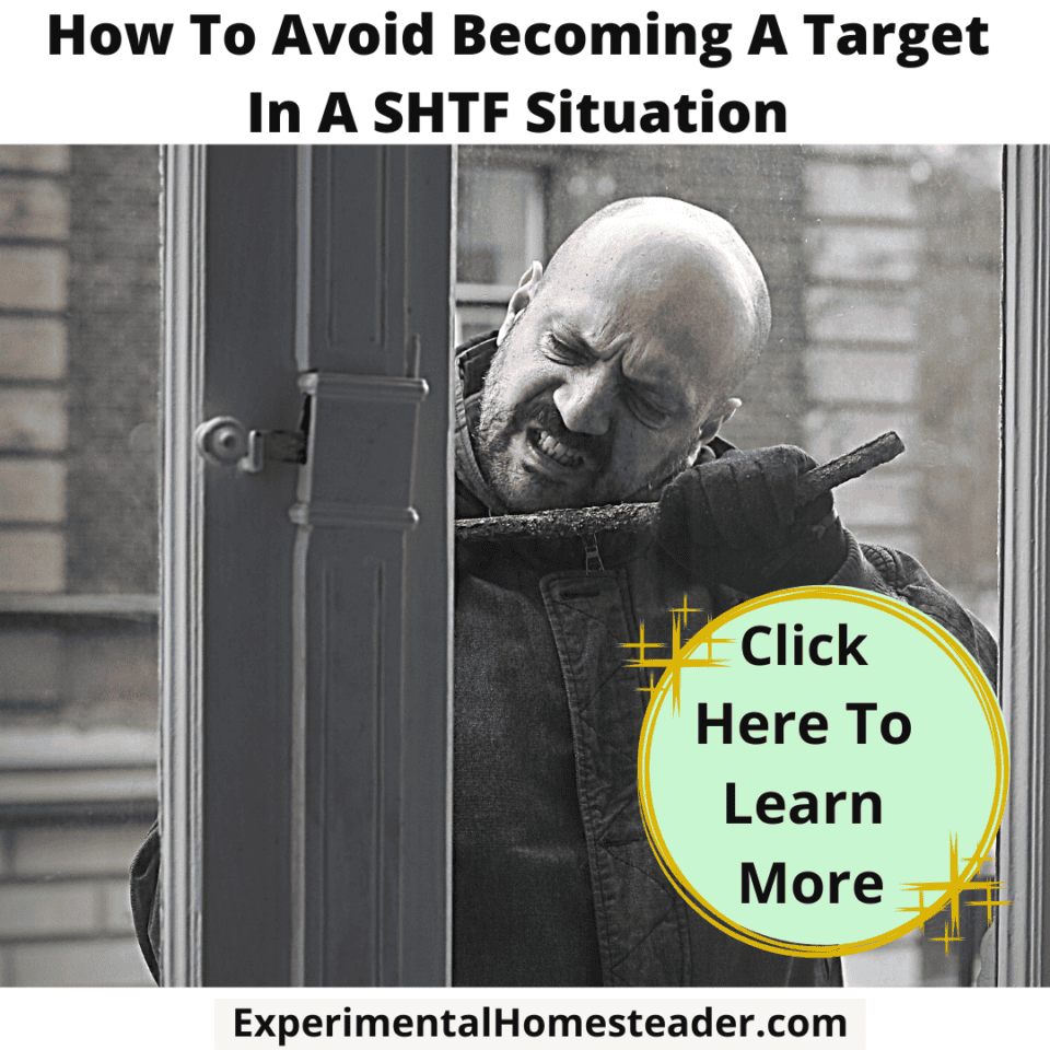 How To Avoid Becoming A Target In A SHTF Situation - Experimental ...