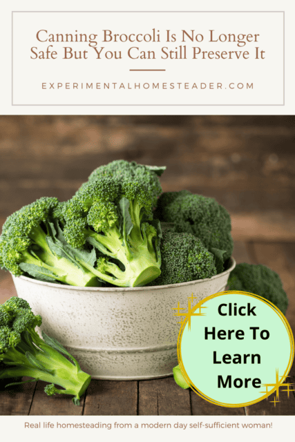 Canning Broccoli Is No Longer Safe But You Can Still Preserve It ...