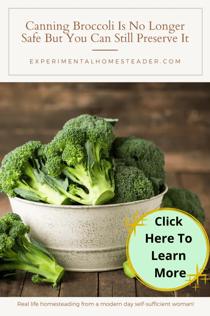 Canning Broccoli Is No Longer Safe But You Can Still Preserve It ...