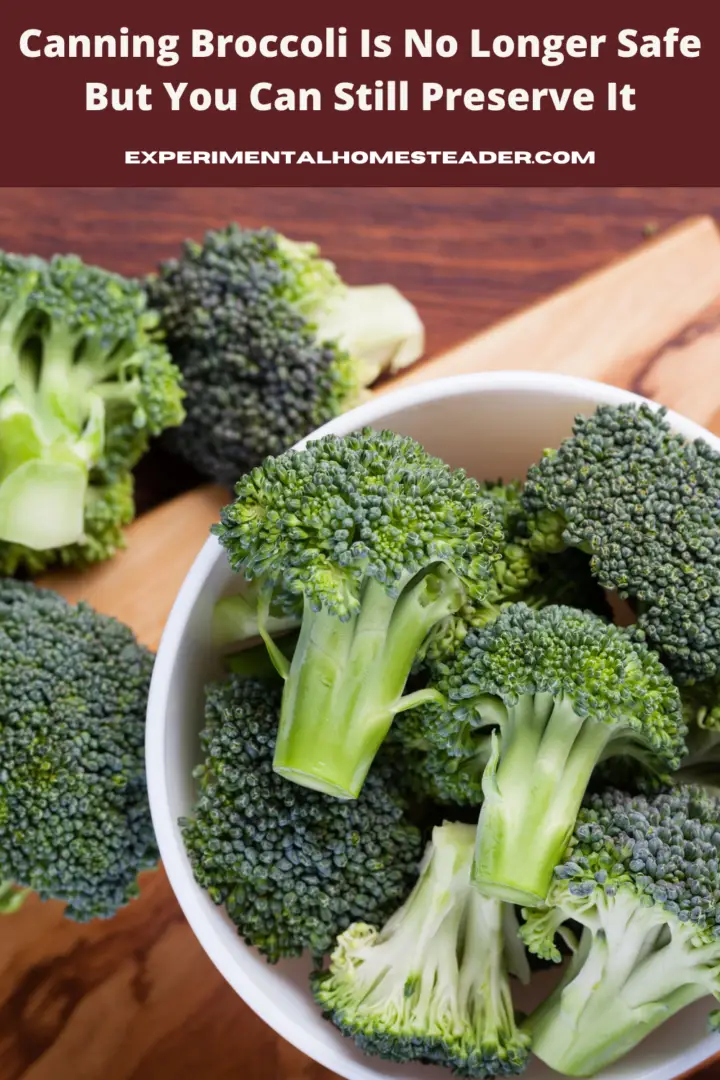 Canning Broccoli Is No Longer Safe But You Can Still Preserve It ...