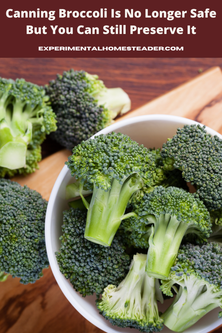 Canning Broccoli Is No Longer Safe But You Can Still Preserve It ...