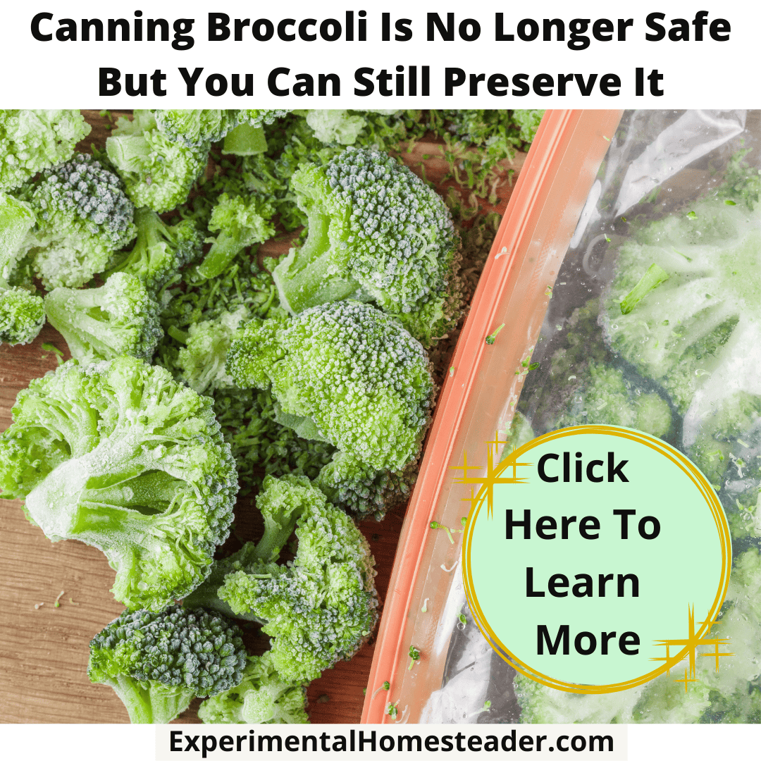 Canning Broccoli Is No Longer Safe But You Can Still Preserve It Canning Broccoli Is No Longer Safe But You Can Still Preserve It