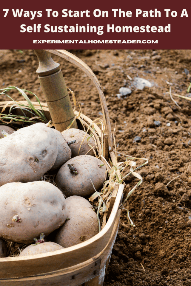 7 Steps for a Self Sustaining Homestead - Experimental Homesteader