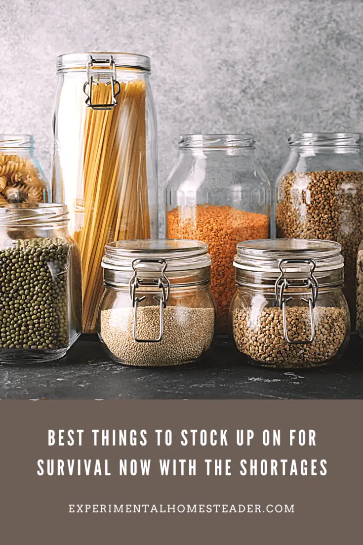 Best Things To Stock Up On For Survival Now With The Shortages ...