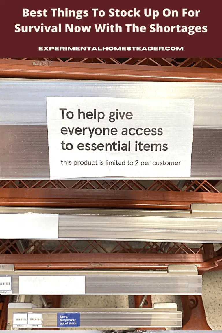 Best Things To Stock Up On For Survival Now With The Shortages ...