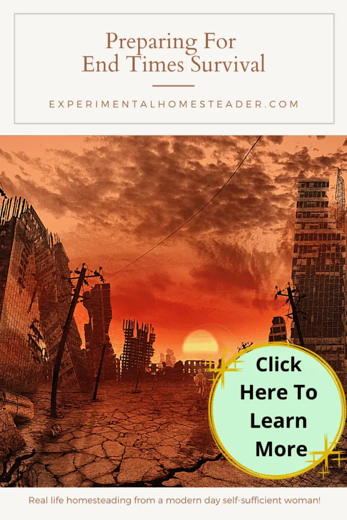Preparing For End Times Survival - Experimental Homesteader