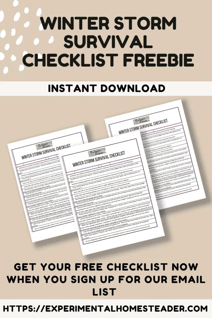 Winter Storm Survival Checklist Freebie - Experimental Homesteader