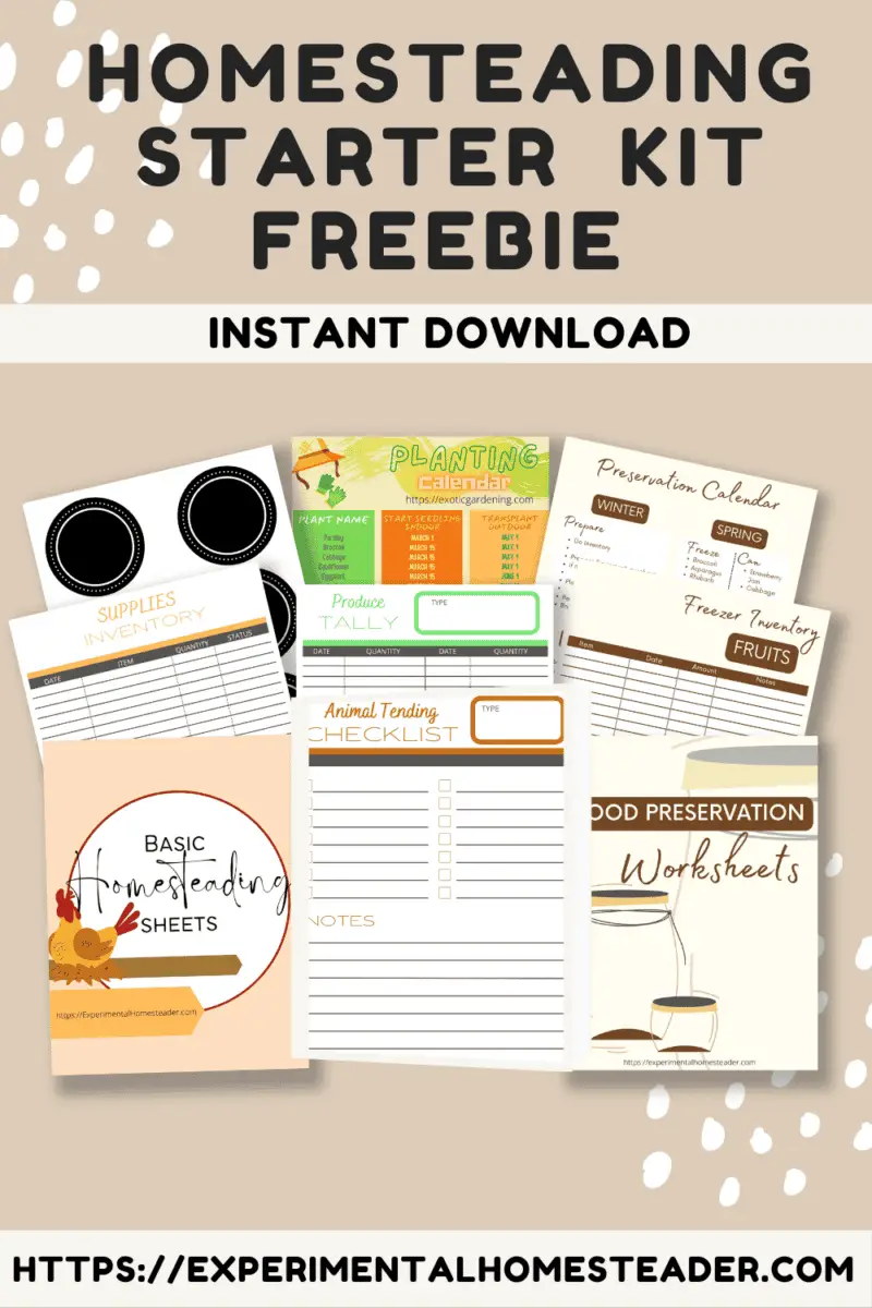 Homesteading Starter Kit Freebie - Experimental Homesteader