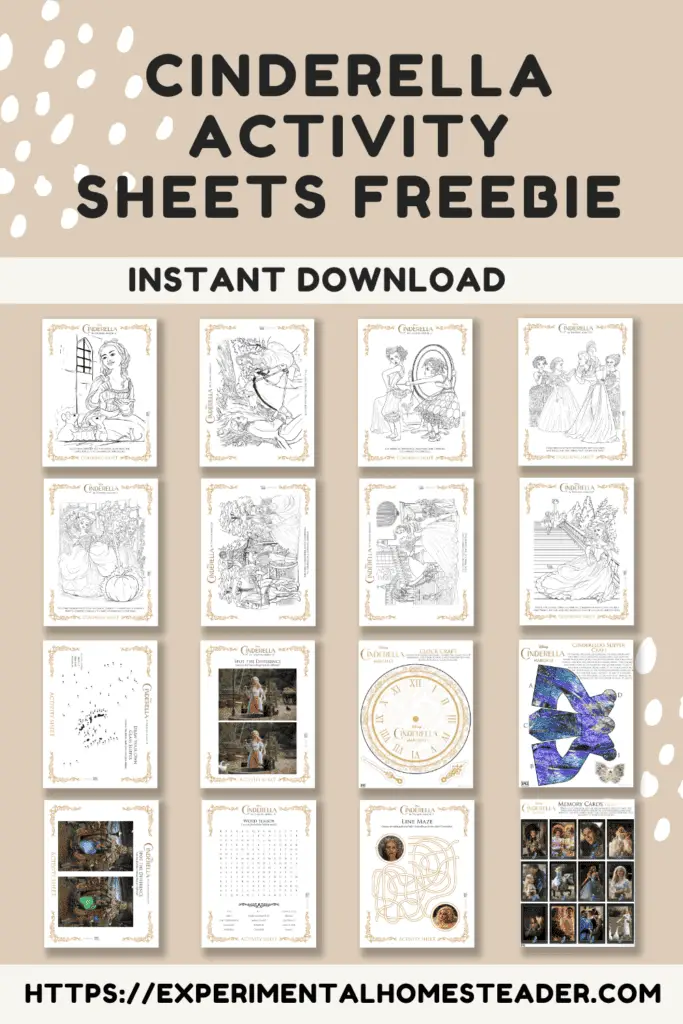 Cinderella Activity Sheets Freebie - Experimental Homesteader