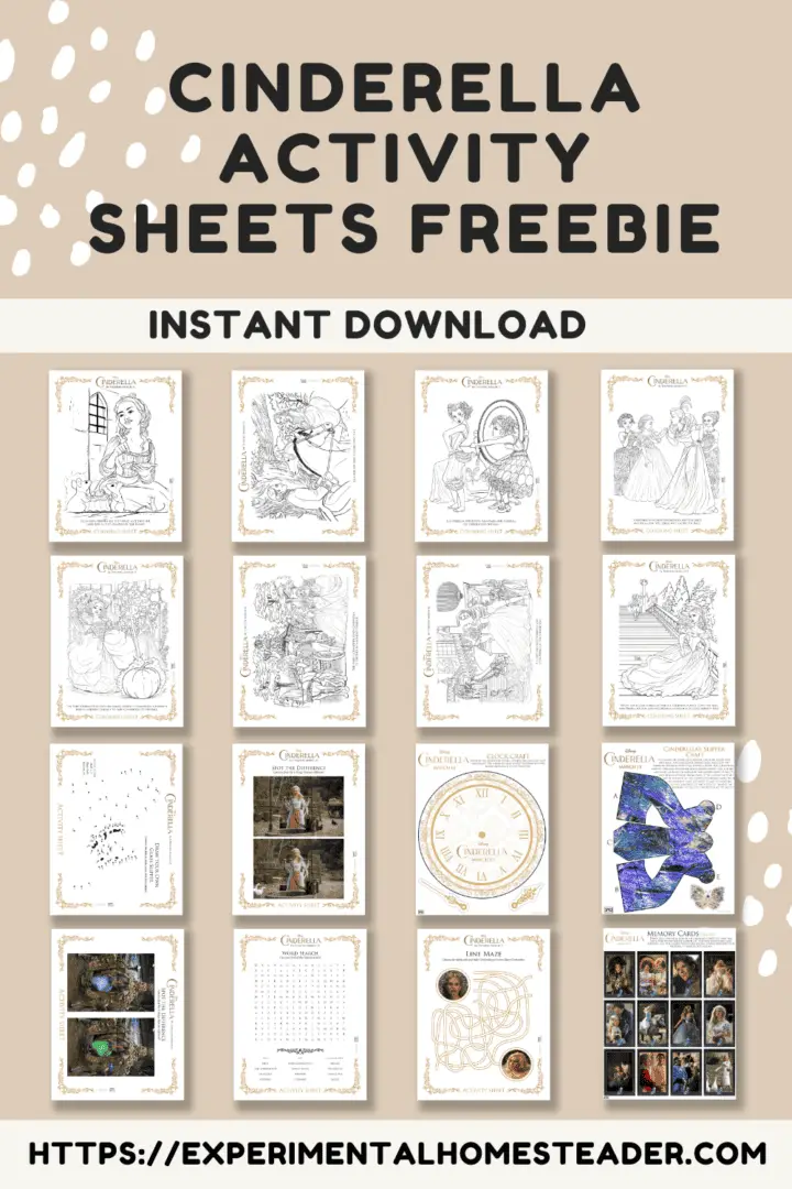 Cinderella Activity Sheets Freebie - Experimental Homesteader