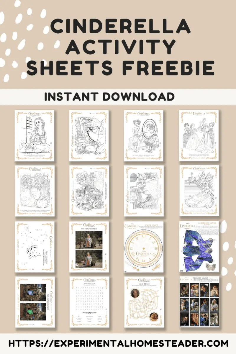 Cinderella Activity Sheets Freebie - Experimental Homesteader