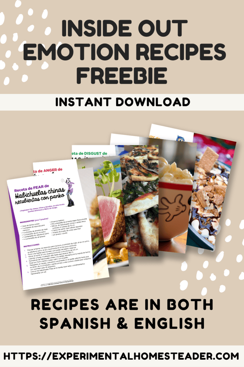 Inside Out Emotion Recipes Freebie - Experimental Homesteader