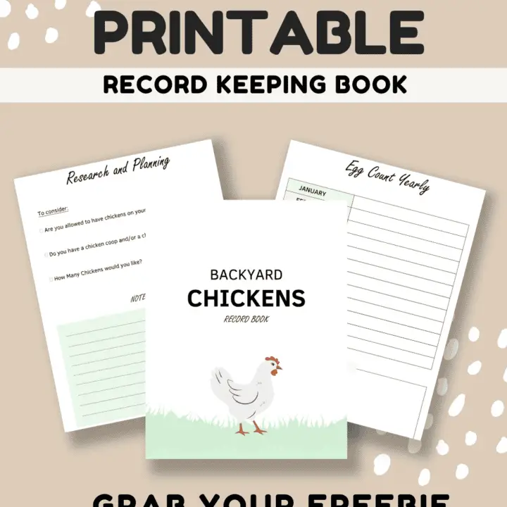 6 Things You Need To Know Before Raising Backyard Chickens ...