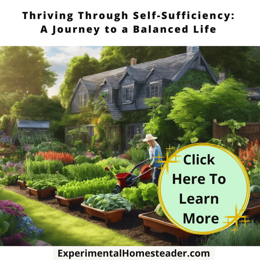 Start Your Journey to Self-Sufficiency: A Step-by-Step Guide ...