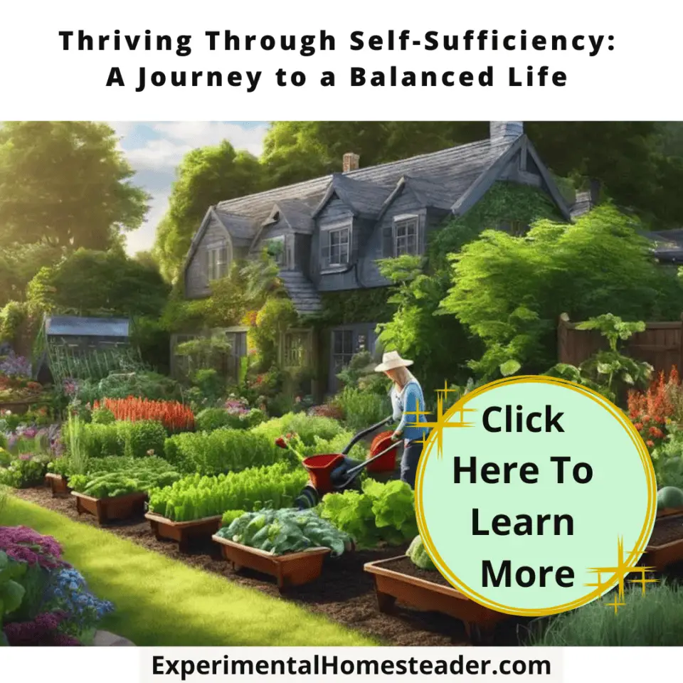 Start Your Journey to Self-Sufficiency: A Step-by-Step Guide - Experimental Homesteader