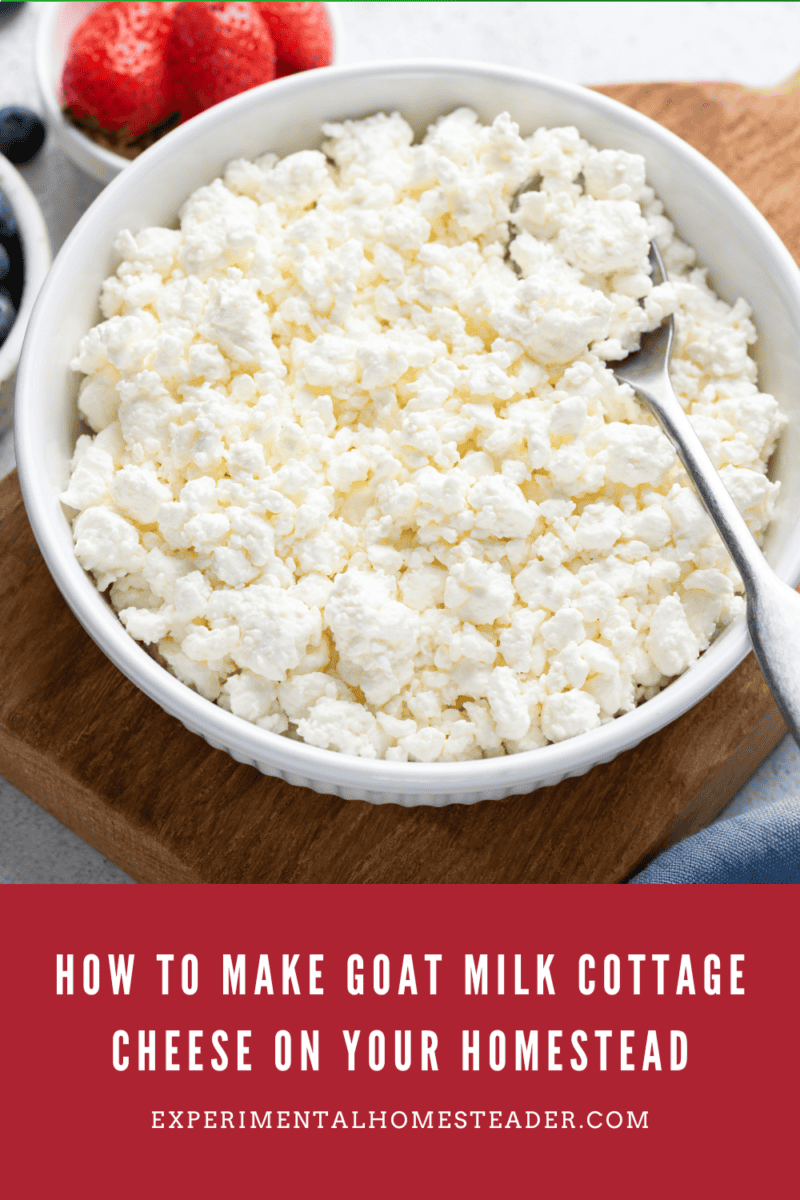 How to Make Goat Milk Cottage Cheese on Your Homestead - Experimental ...