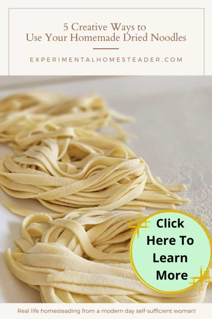 5 Creative Ways to Use Your Homemade Dried Noodles - Experimental ...