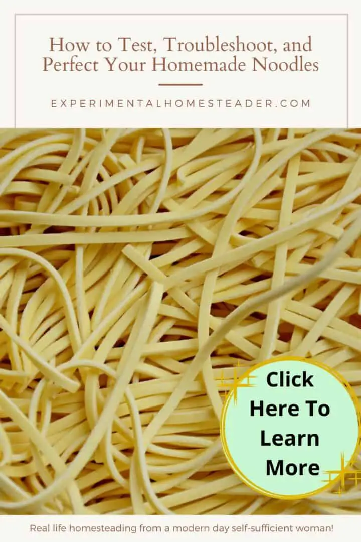 How to Test, Troubleshoot, and Perfect Your Homemade Noodles ...