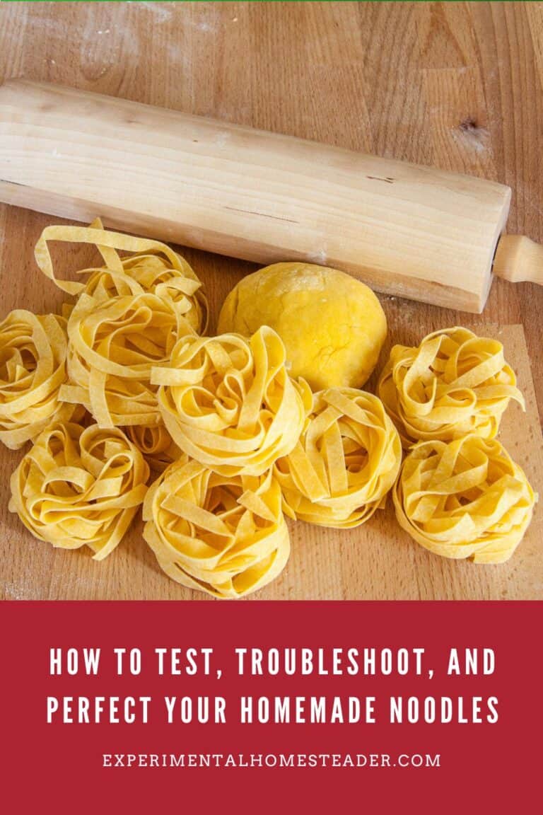 How to Test, Troubleshoot, and Perfect Your Homemade Noodles ...