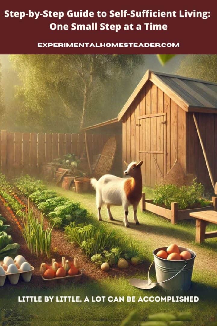 Start Your Journey to Self-Sufficiency: A Step-by-Step Guide ...