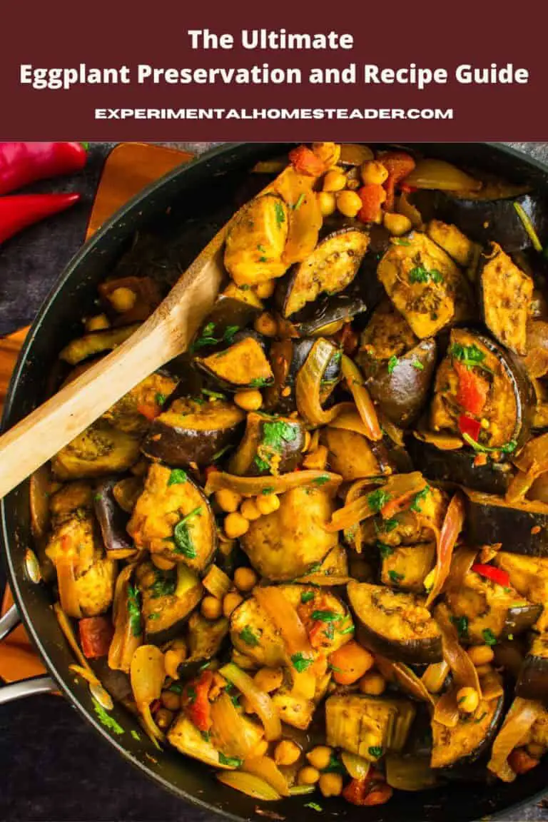 The Ultimate Eggplant Preservation and Recipe Guide - Experimental ...