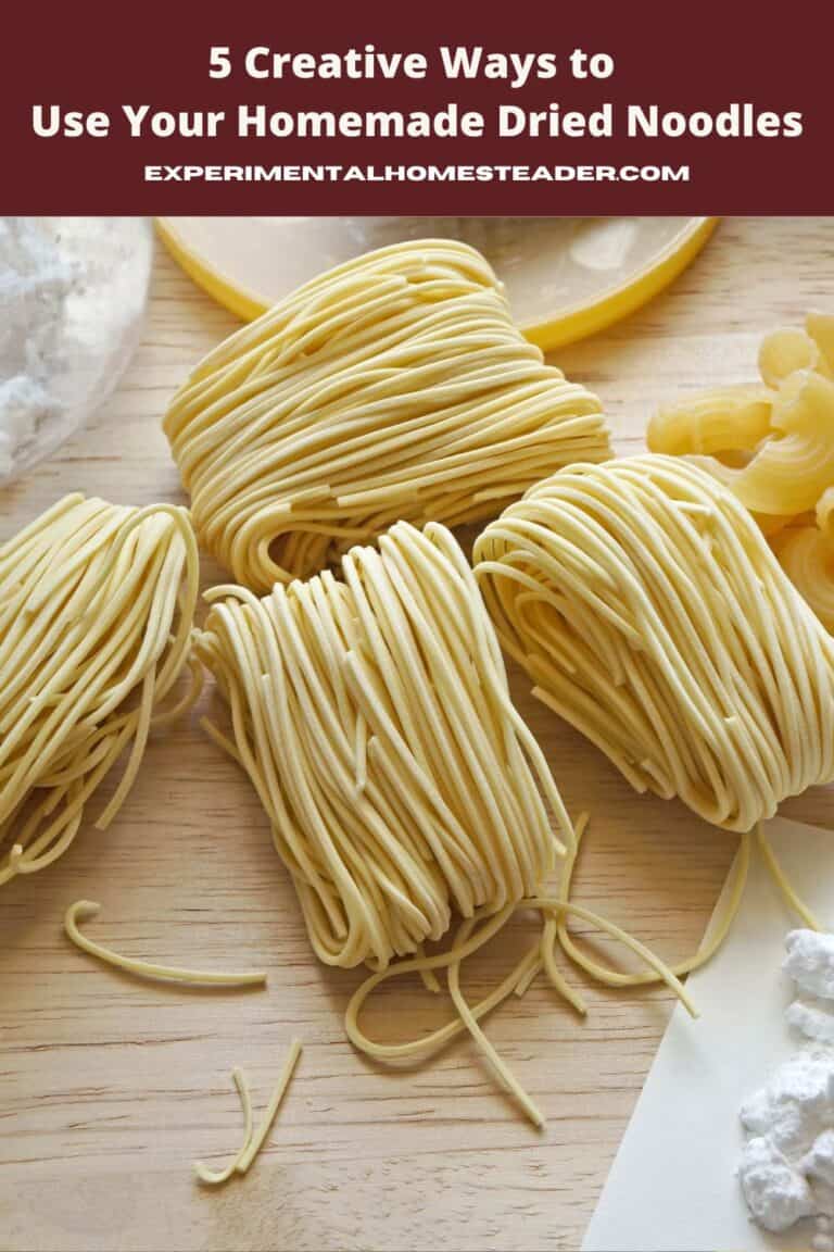 5 Creative Ways to Use Your Homemade Dried Noodles - Experimental ...