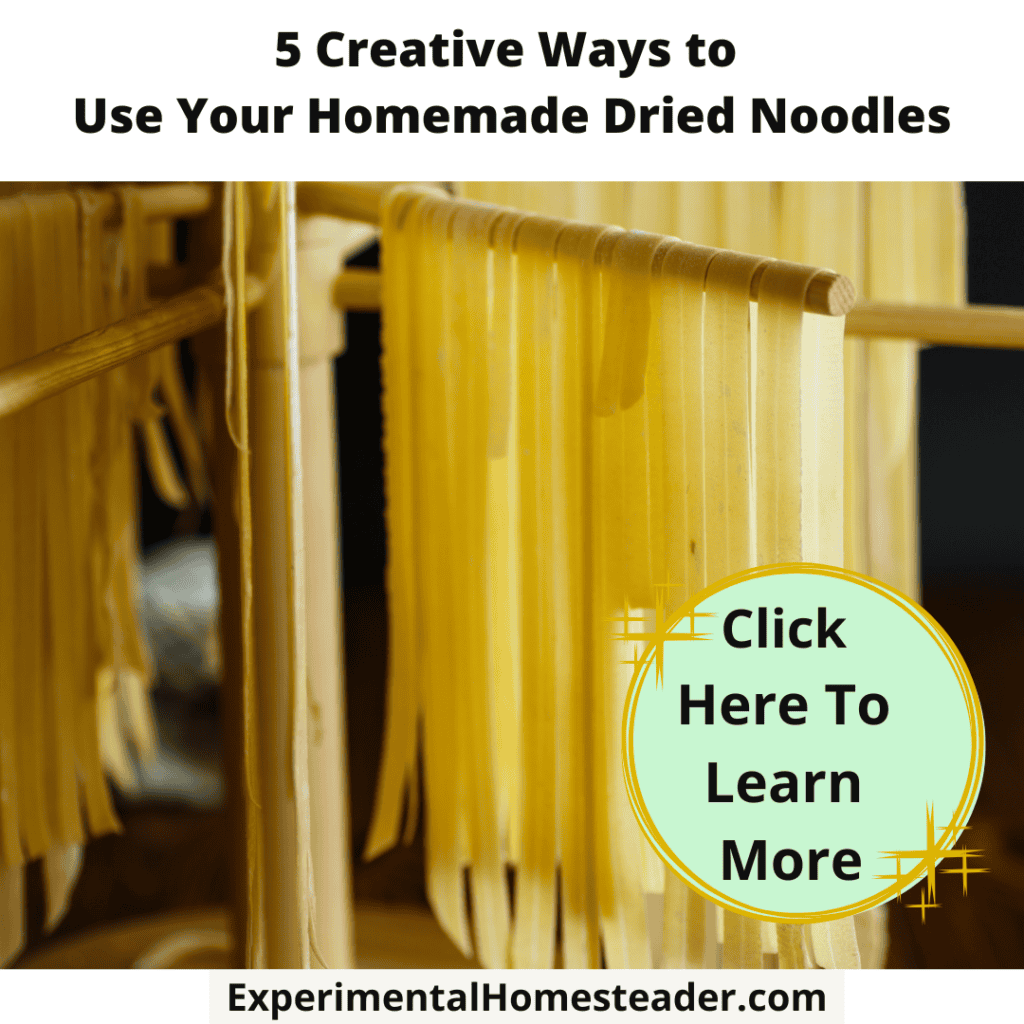 How To Store Noodles - Experimental Homesteader