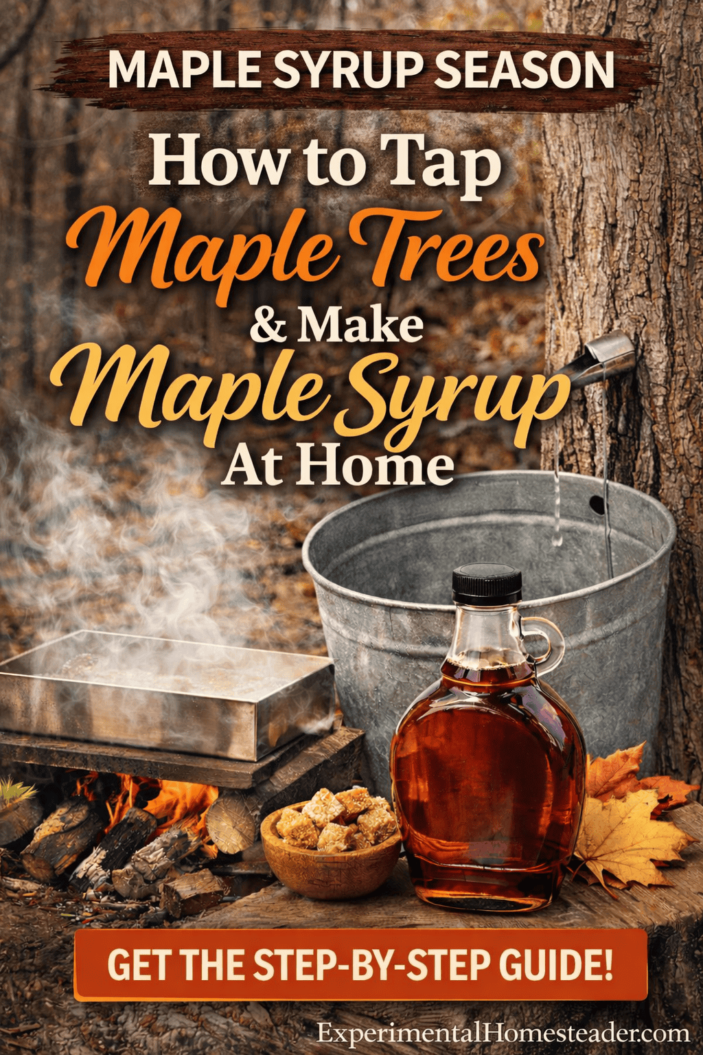 How to Tap Maple Trees and Make Maple Syrup (Complete Seasonal Guide ...