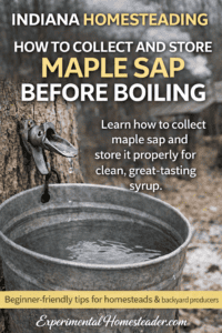 How to Collect and Store Maple Sap Before Boiling - Experimental ...